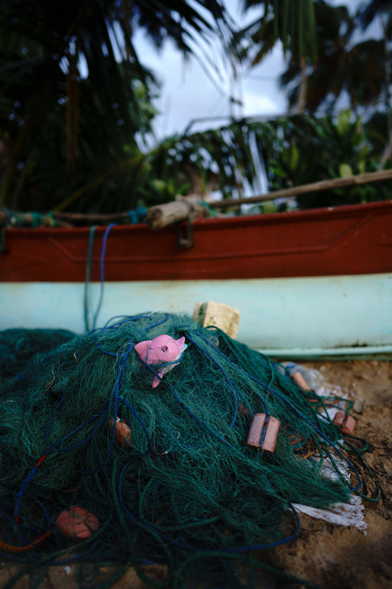 The True Impacts Of Ocean Waste Pollution & Overfishing – Koraloha